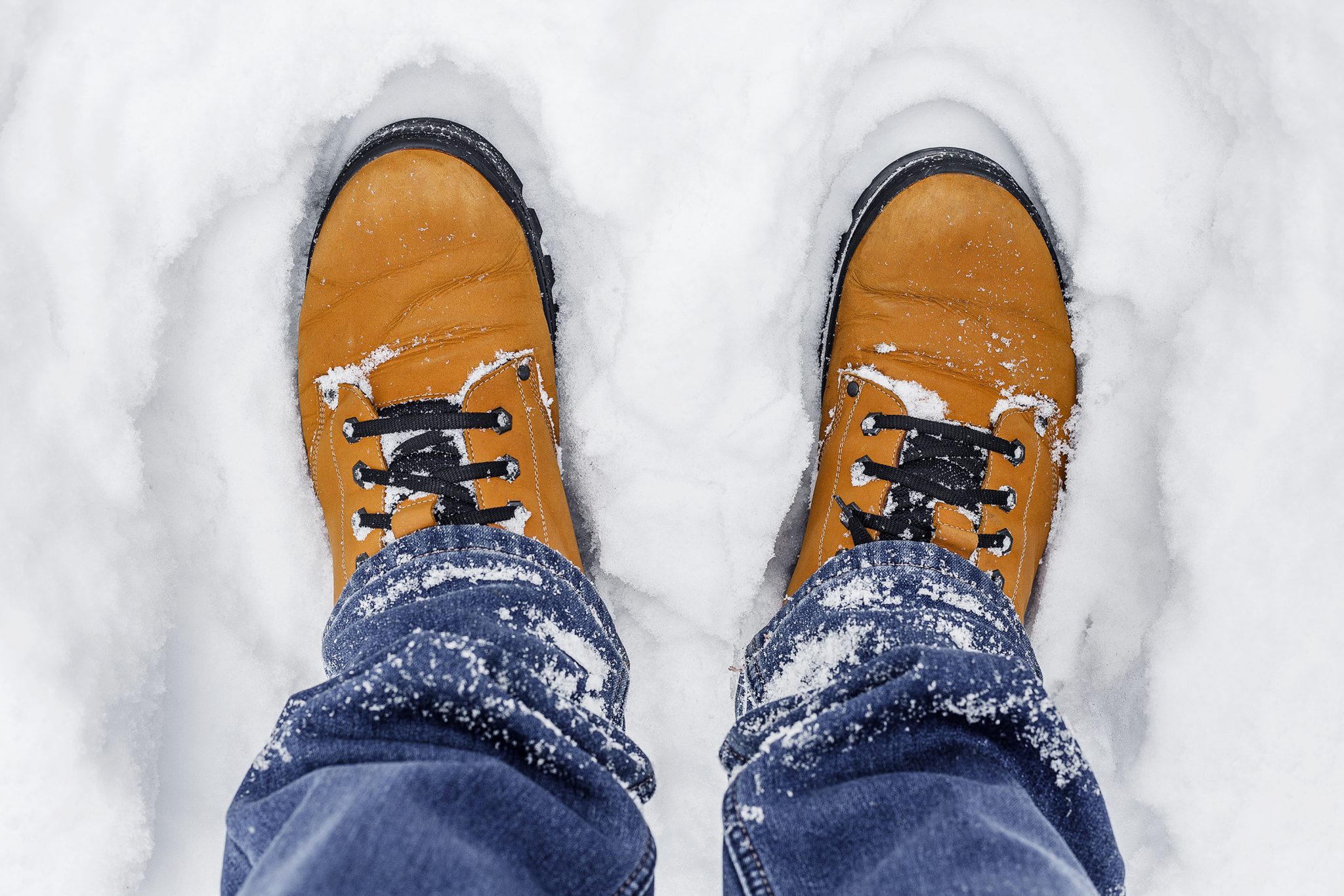 Leather in the Freezer: Does It Work, or Is It Just a Myth?